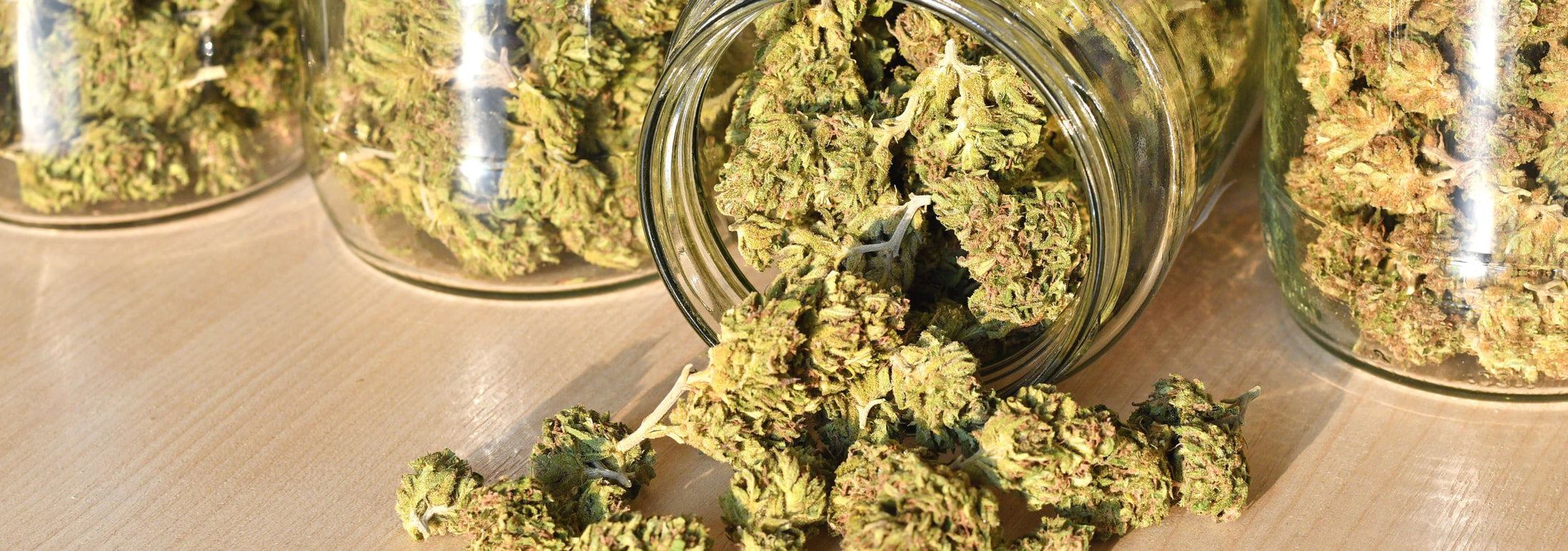 Test Buds, Concentrates, Distillates & Isolates for THC