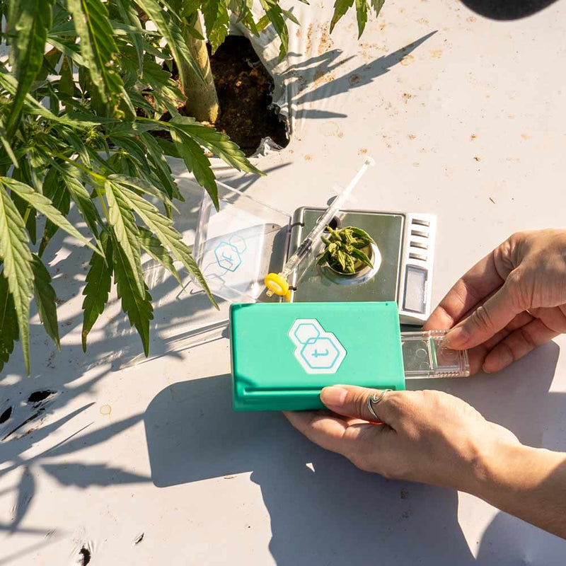 Get Started with tCheck THC Potency Tester at Home | tCheck